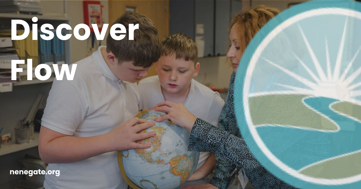 Discover Flow | NeneGate School